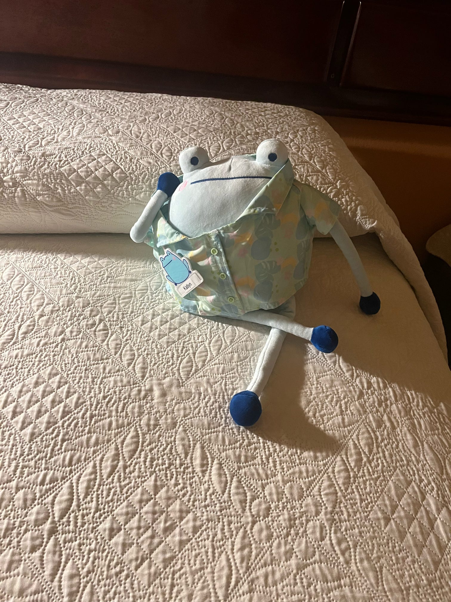 Long Limbed Son the Frog Plushie – rainylune