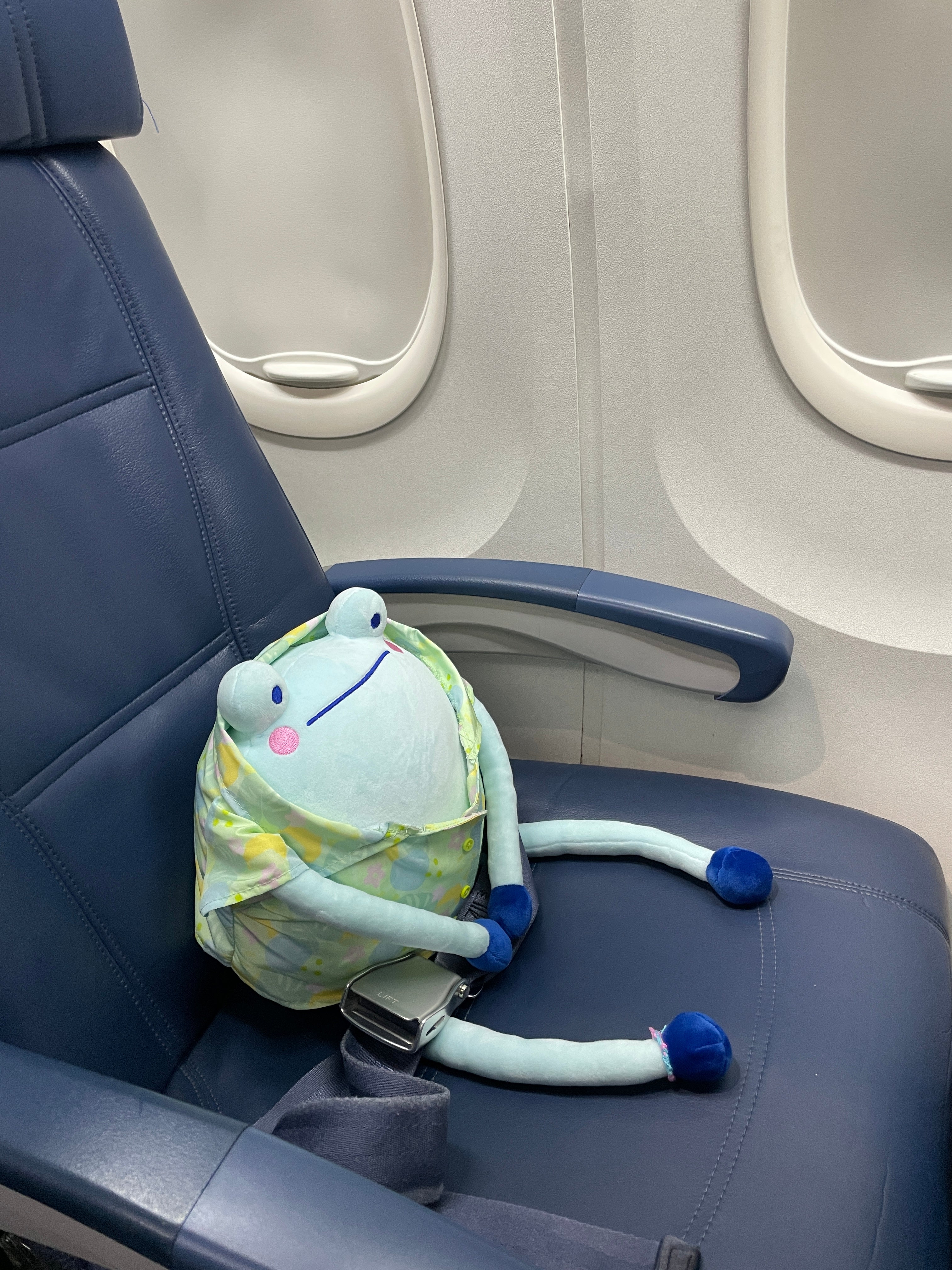 Long Limbed Son the Frog Plushie – rainylune