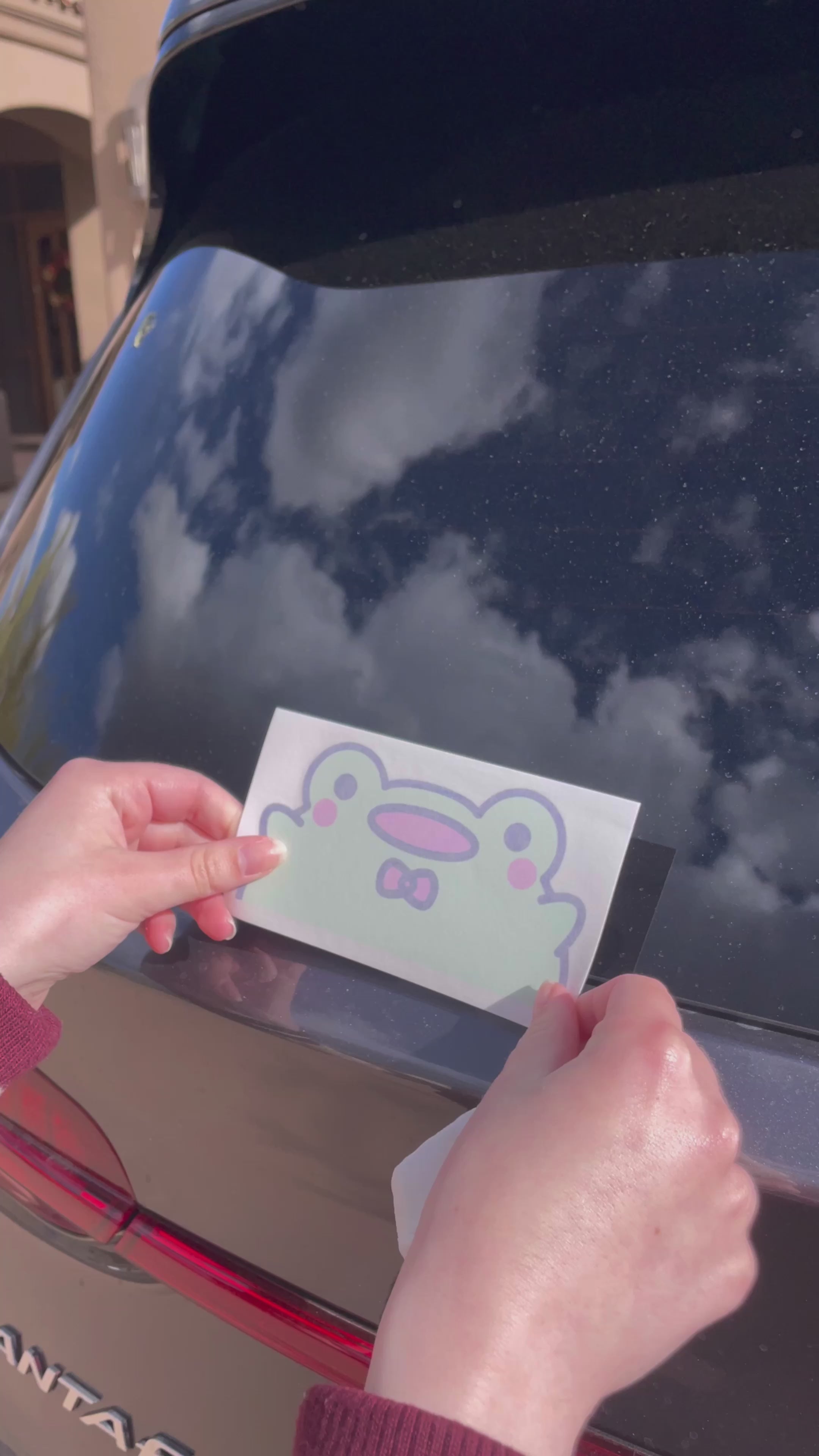 Friend the Frog Car Sticker – rainylune
